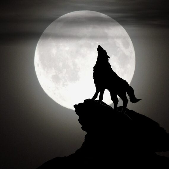 Absage Angebot: 6 Vorlagen, Muster & Formulierungen